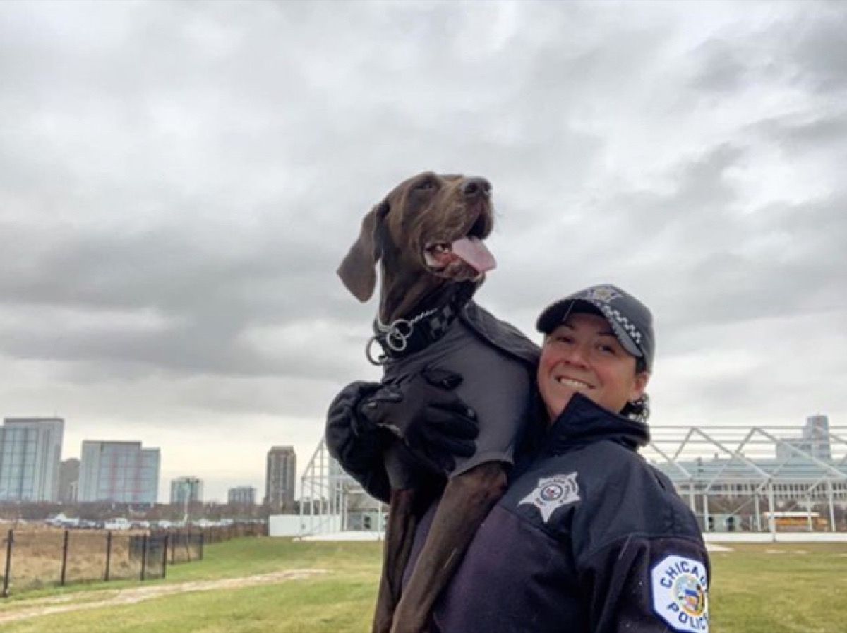 20 Adorable Animals That Are Also Police Crime Fighters — Best Life