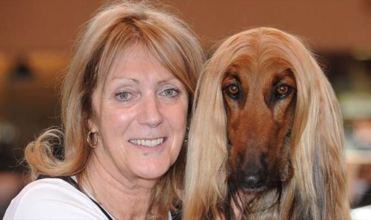 25 Dogs Who Look Like Their Owners So Much It's Scary — Best Life