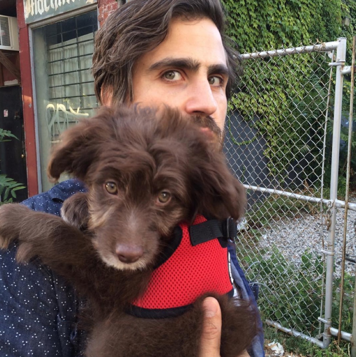 25 Dogs Who Look Like Their Owners So Much It's Scary — Best Life