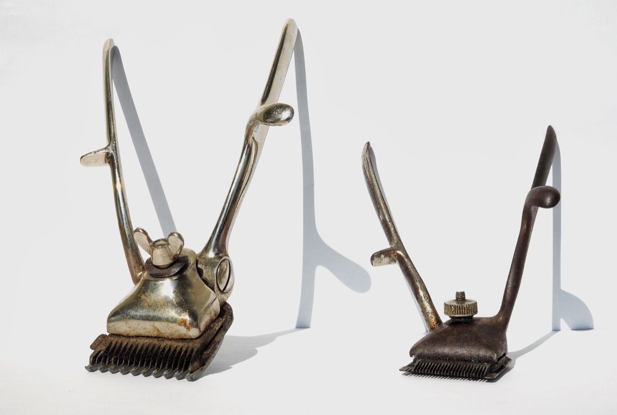 Can You Guess What These Old Household Objects Were Used For?