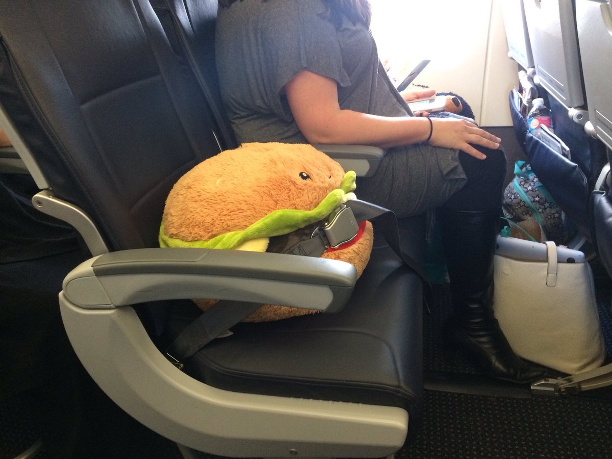 17 Hilarious Photos of Terrible Airplane Passenger Behavior — Best Life