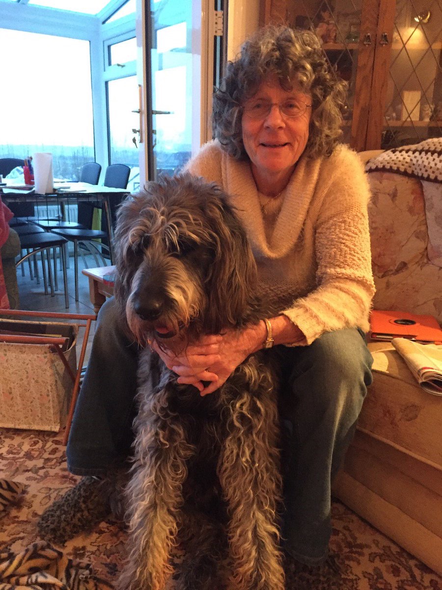 25 Dogs Who Look Like Their Owners So Much It's Scary — Best Life