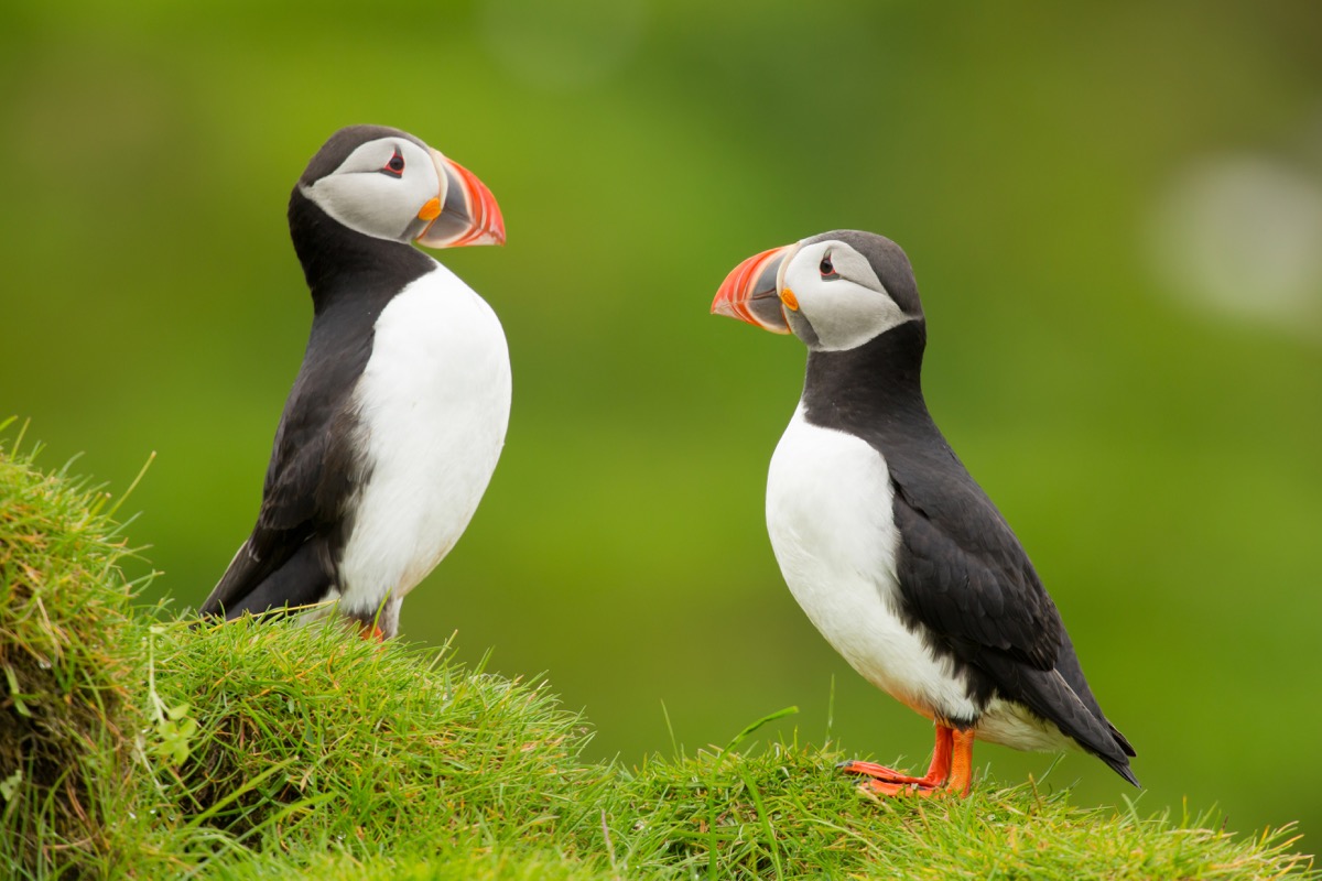 40 Happy Facts That Will Put a Smile on Your Face — Best Life