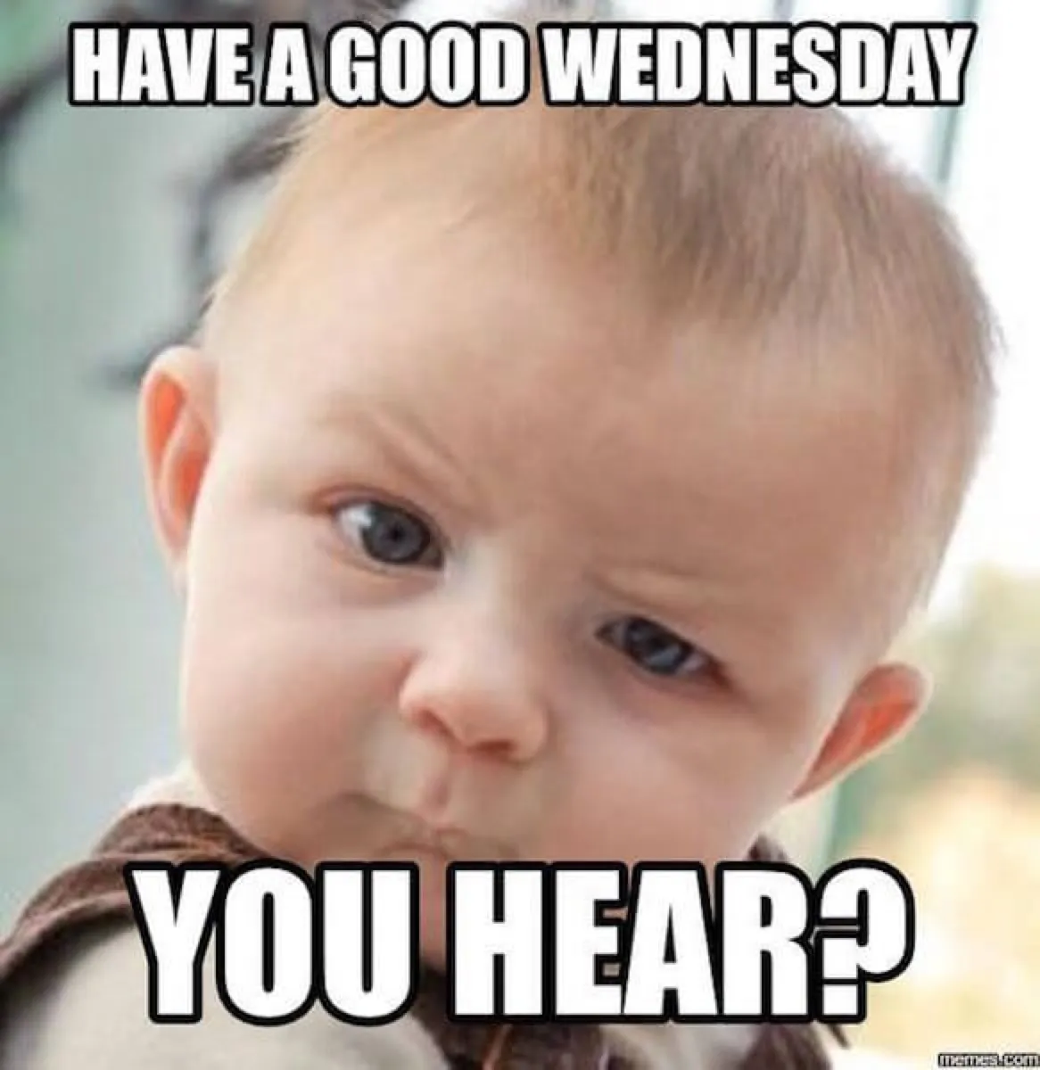 17 Hilarious Hump Day Memes To Help You Get to the Weekend — Best Life