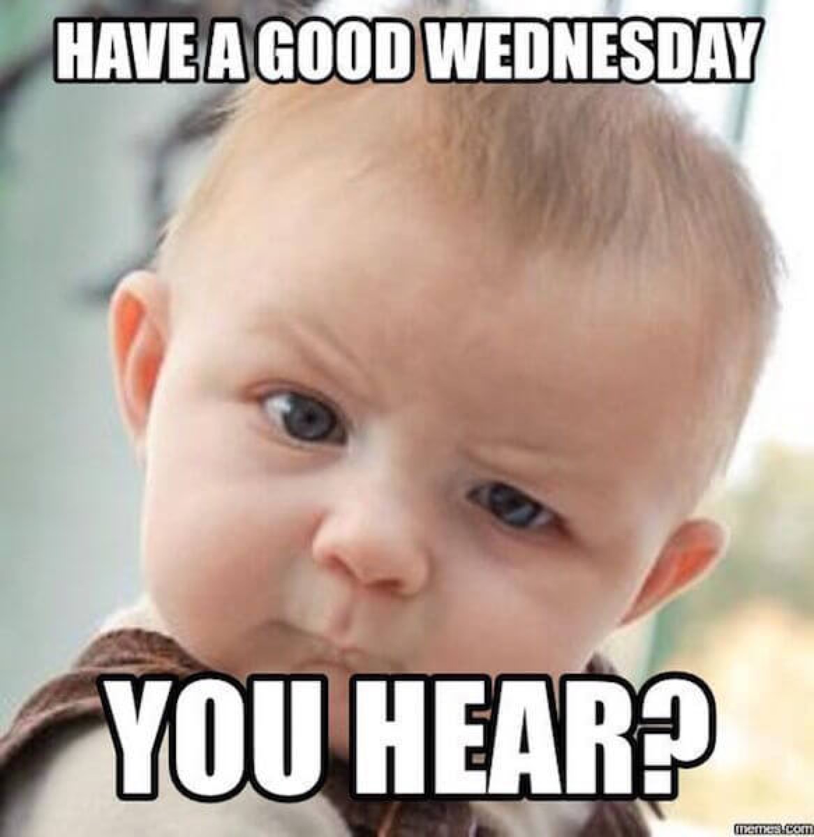 17 Hilarious Hump Day Memes To Help You Get to the Weekend — Best Life