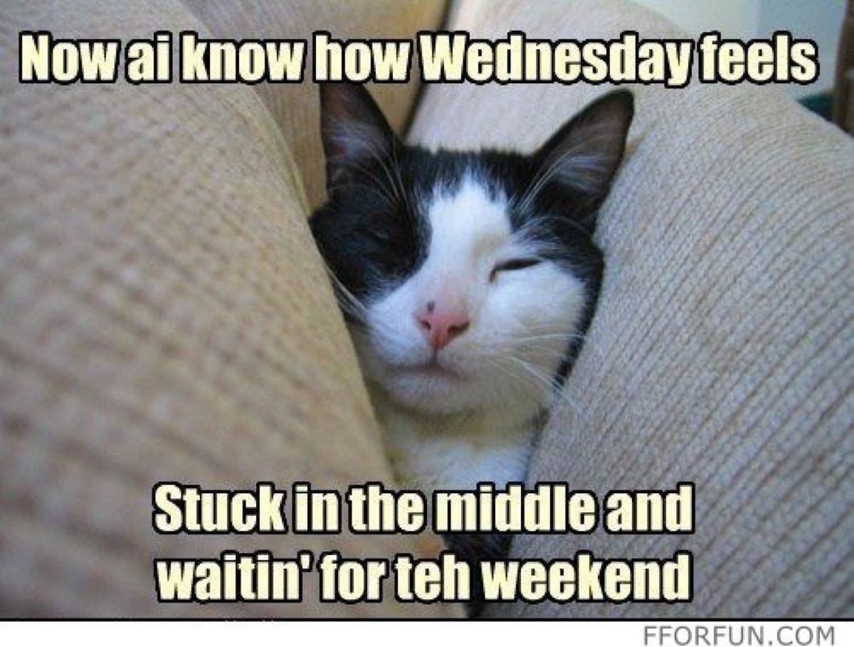 17 Hilarious Hump Day Memes To Help You Get to the Weekend — Best Life