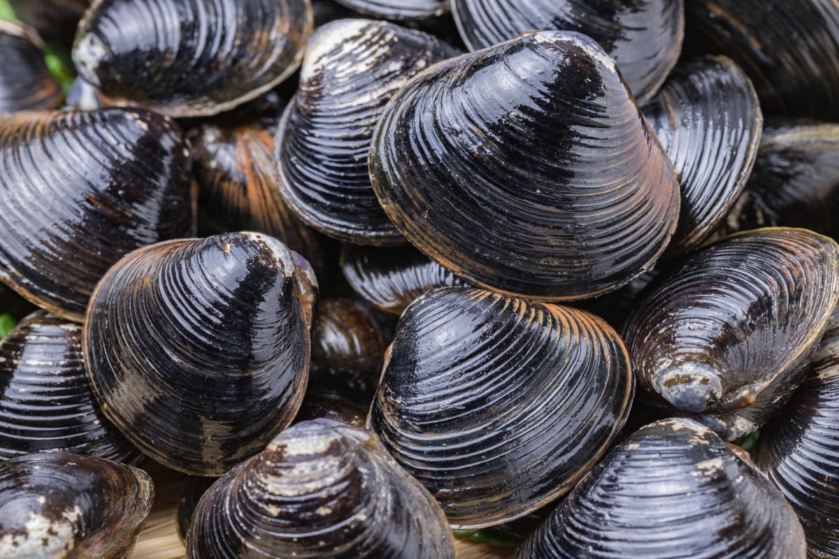 100 Mind-Blowing Facts You've Never Heard Before — Best LifeBest Life