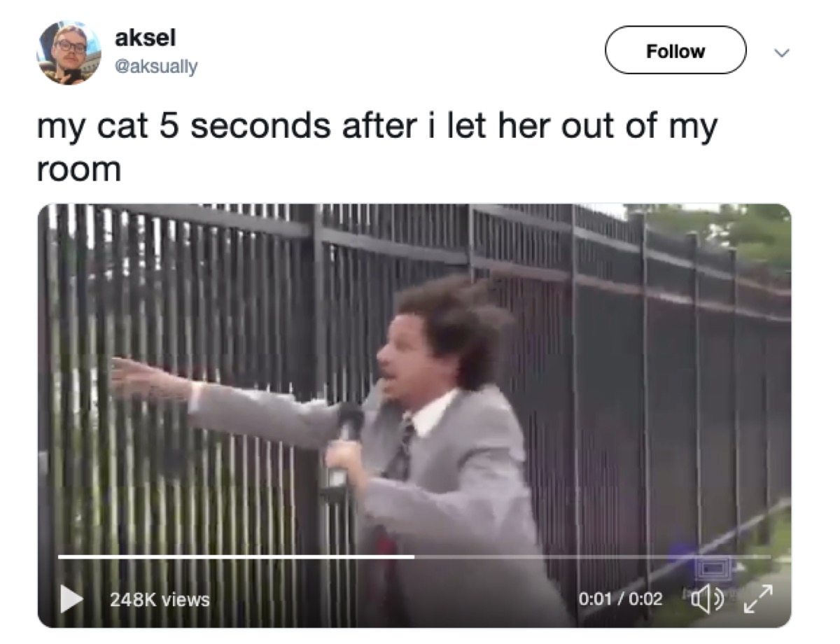 Funny Memes: 50 Funniest Memes of 2019 — Best Life