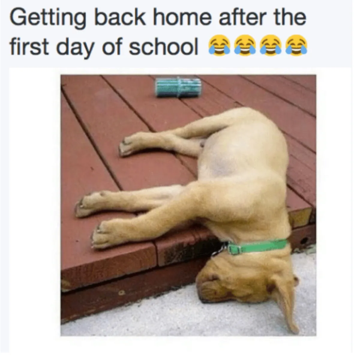 40 School Memes Every Student Will Appreciate - Funny School Memes