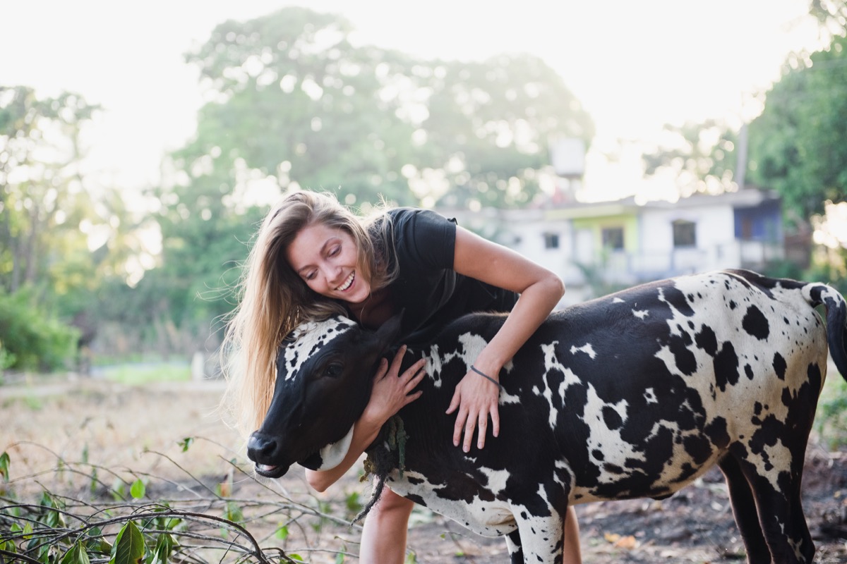 28 Cow Photos That Are Too Adorable for Words — Best Life