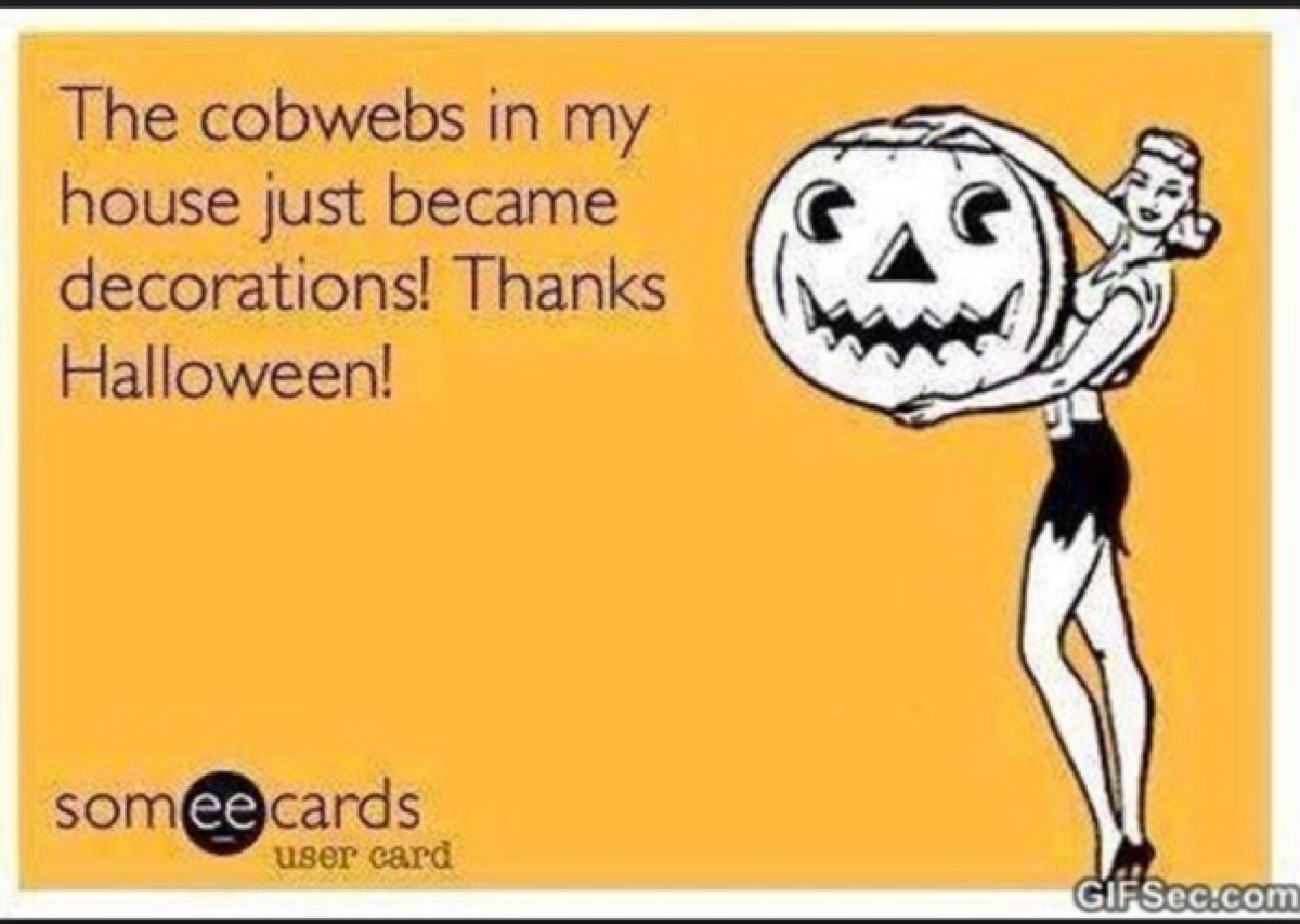 35 Funny Halloween Memes - Best Halloween Joke Images