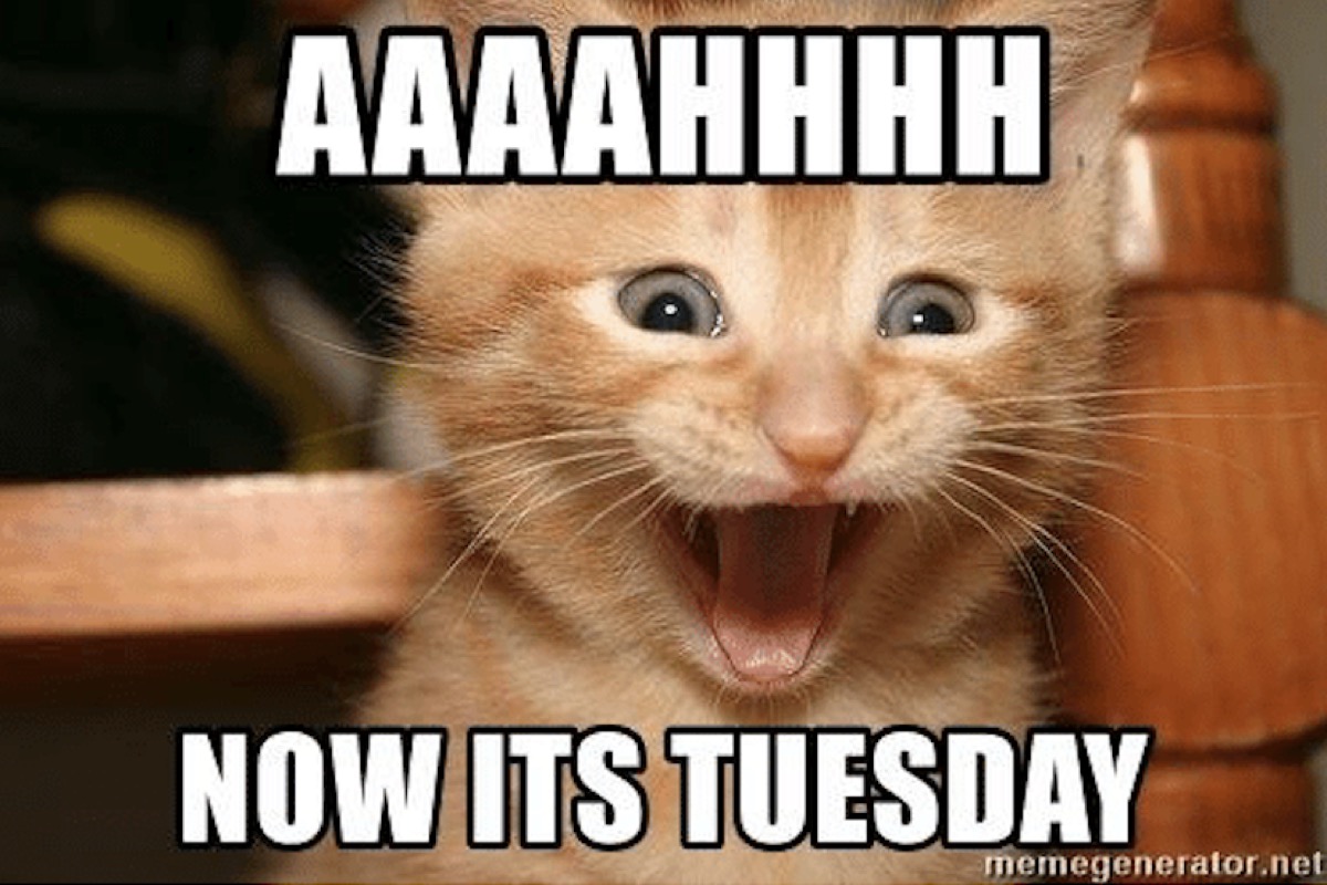 15 Happy Tuesday Memes Best Funny Tuesday Memes 15 Happy Tuesday Memes Best Funny Tuesday Memes