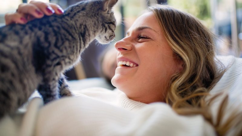 40 Cat Jokes That Are Purr-Fectly Hilarious — Best Life