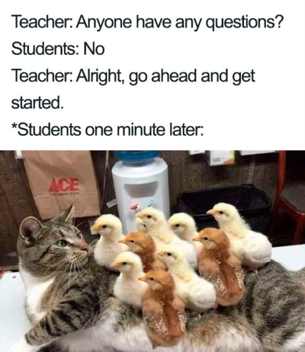 40 School Memes Every Student Will Appreciate - Funny School Memes