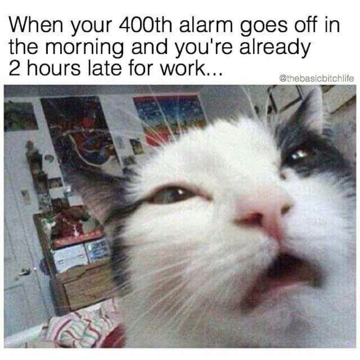 30 Funny Work Memes for Any Office Situation — Best Life