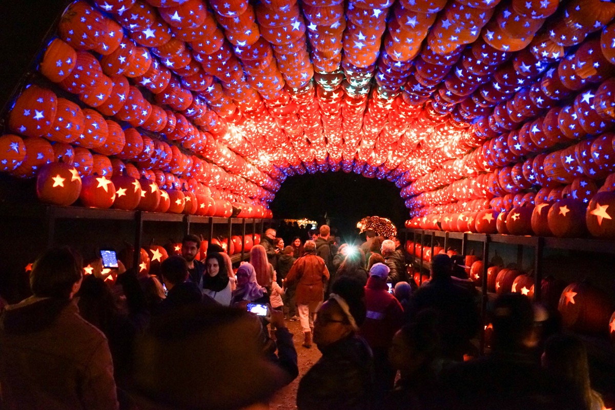 15 Halloween Festivals Around the Country - Halloween Events Near Me