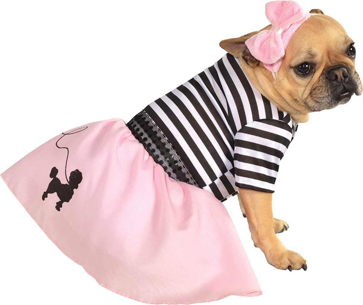 20 Adorable Dog Halloween Costumes You Can Buy Online — Best Life