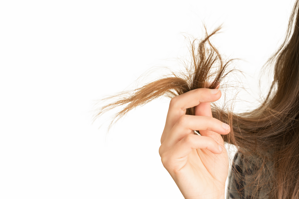 How to Get Rid of Split Ends, According to Hairstylists — Best Life