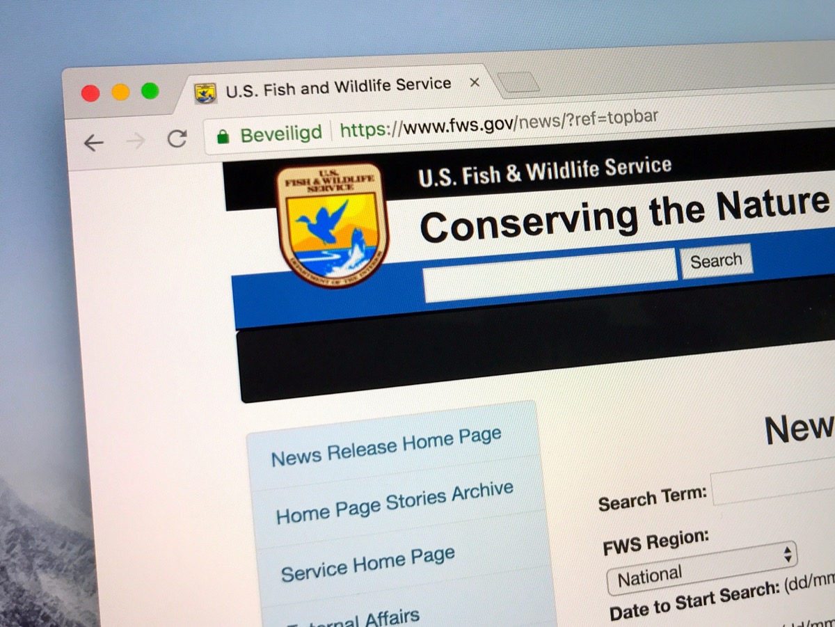 17 Small Things You Can Do to Help Endangered Species — Best Life