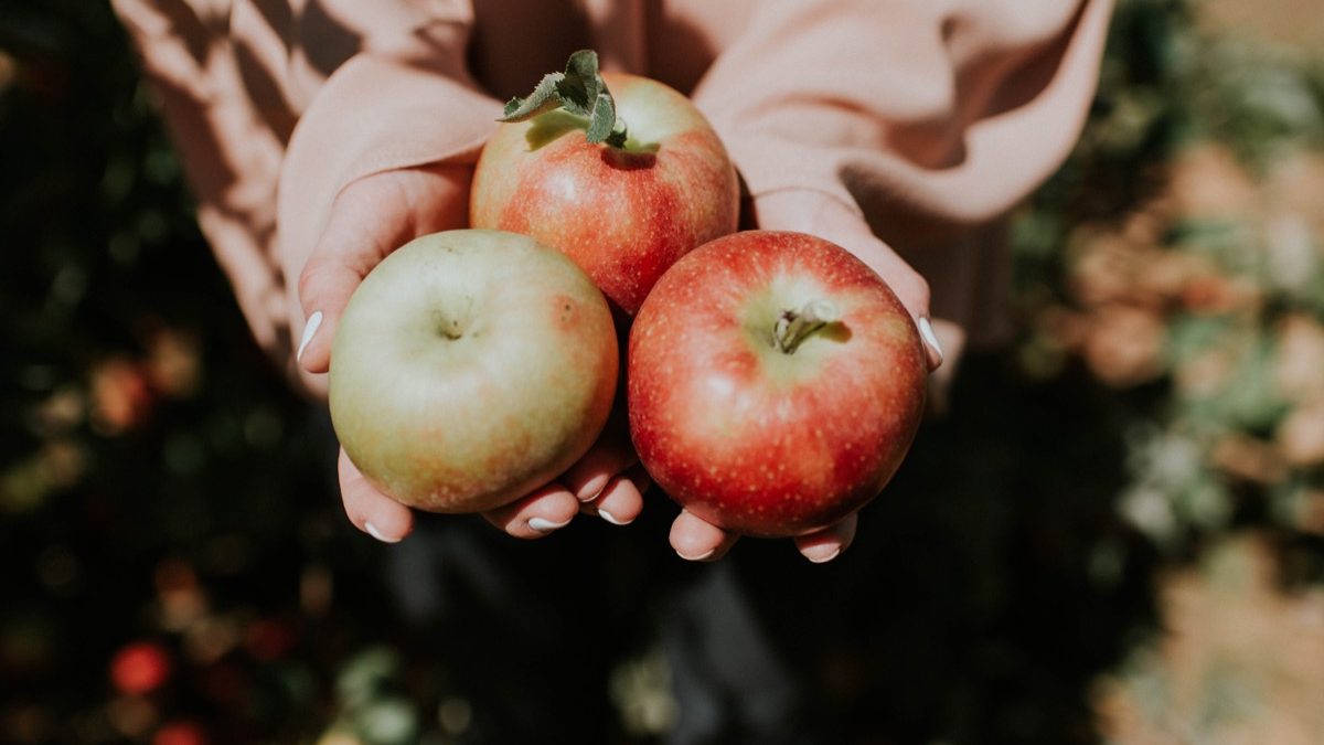 30 Cute Apple Picking Instagram Captions for Fall - Apple Picking Quotes