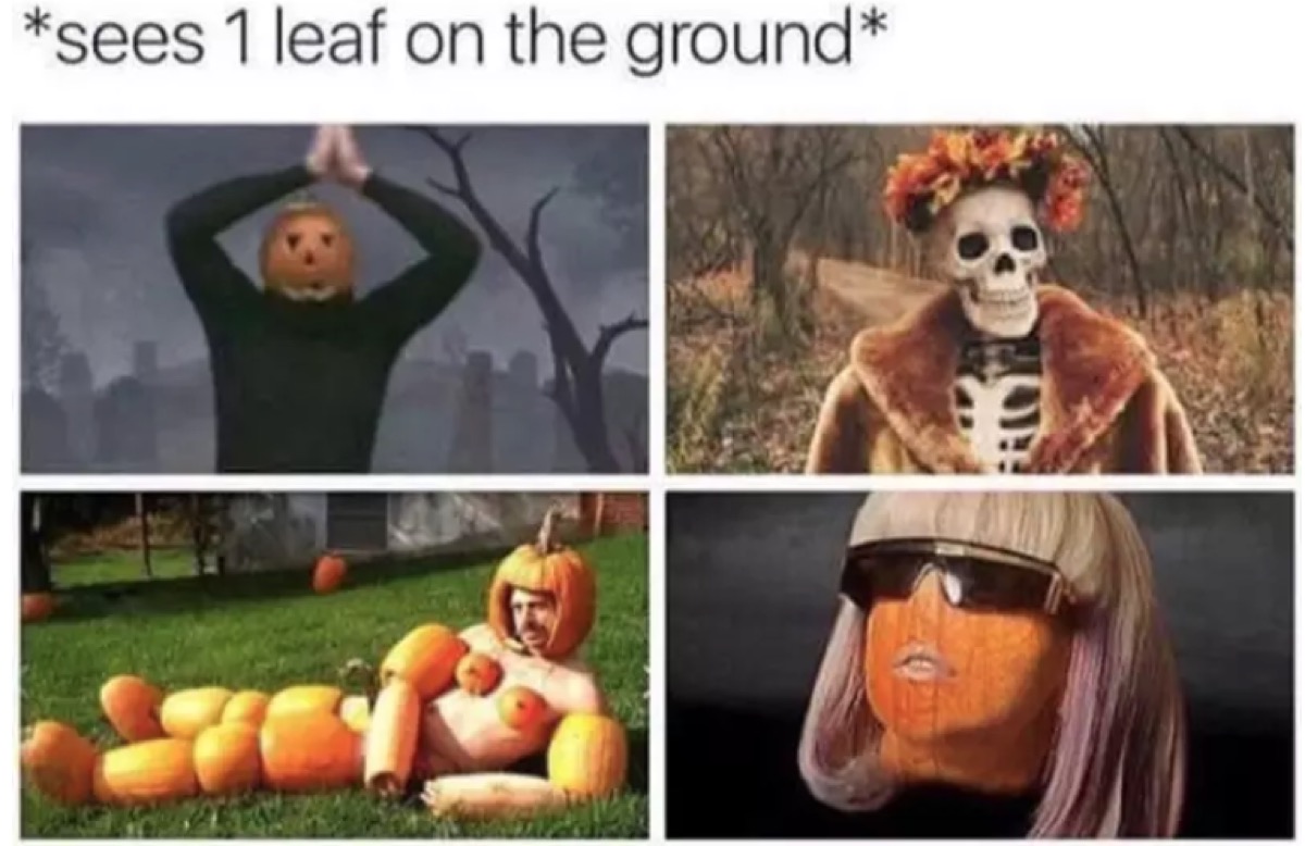 30 Fall Memes for the Autumn-Obsessed - Funny Fall Memes