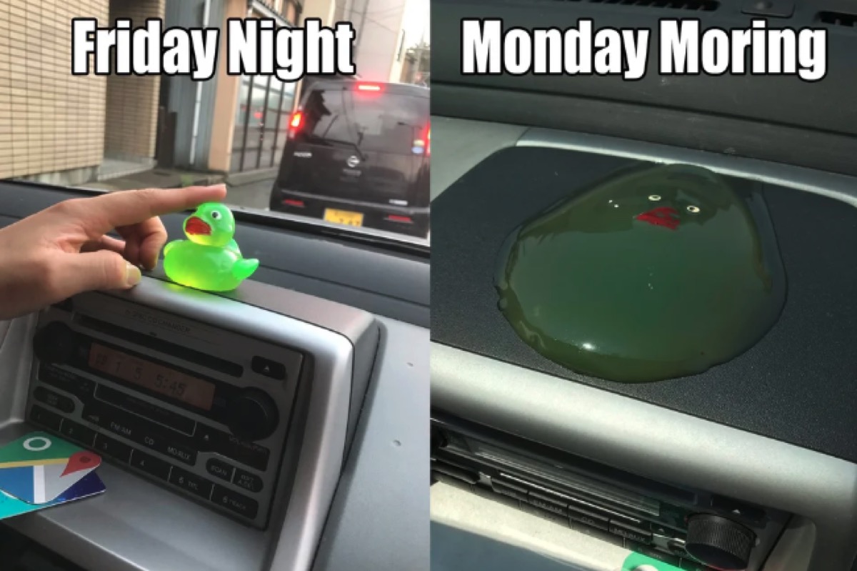 The 20 Best Monday Memes to Jump-Start Your Week — Best Life