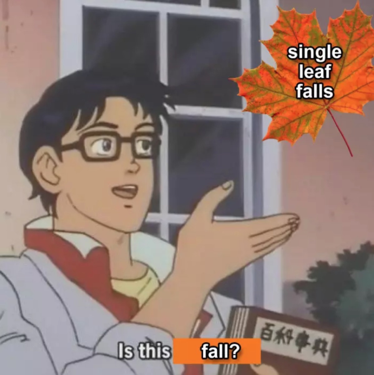 30 Fall Memes for the Autumn-Obsessed - Funny Fall Memes