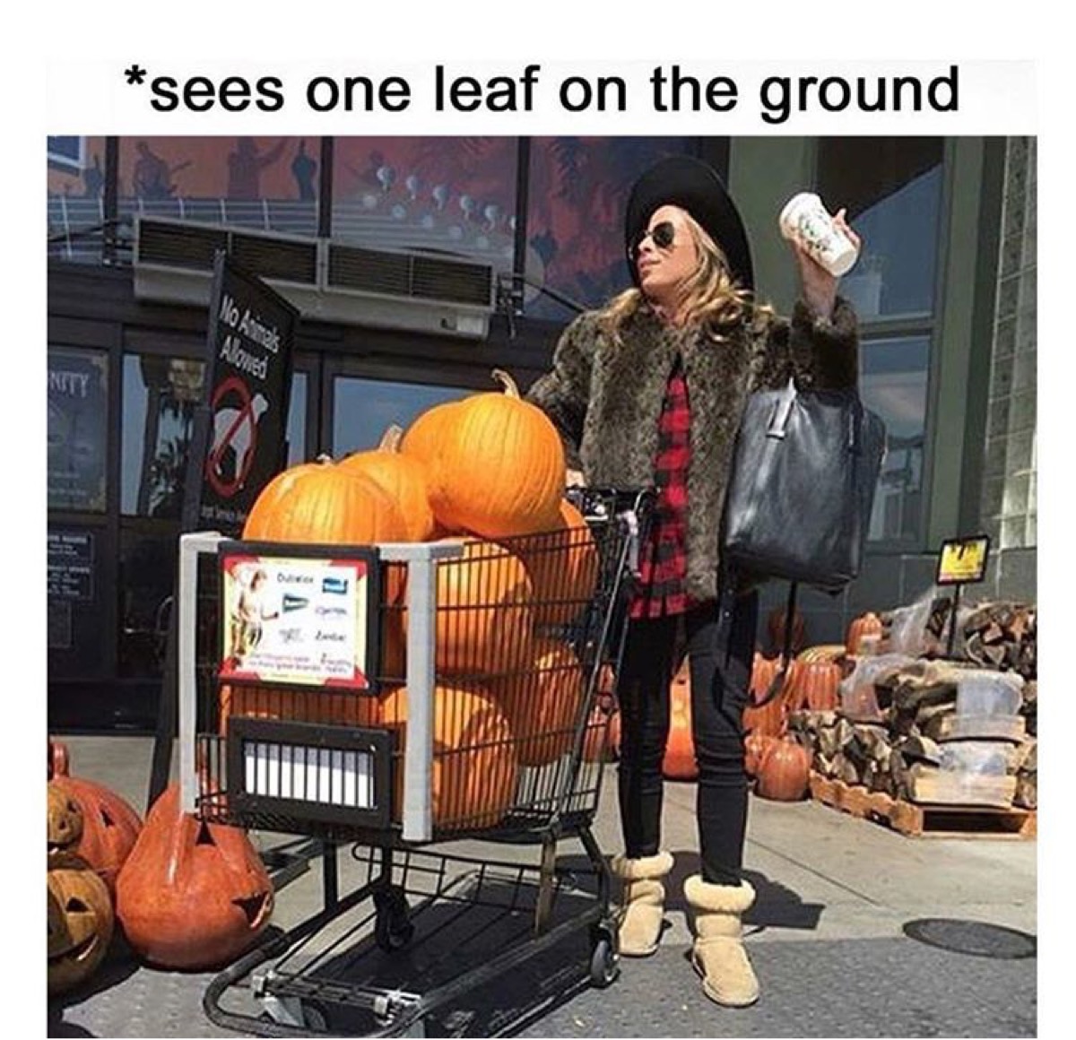 30 Fall Memes for the Autumn-Obsessed - Funny Fall Memes