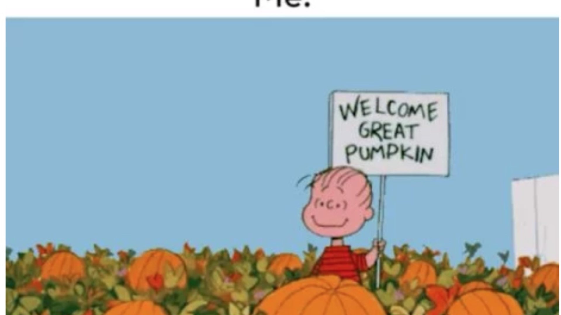 30 Fall Memes for the Autumn-Obsessed - Funny Fall Memes