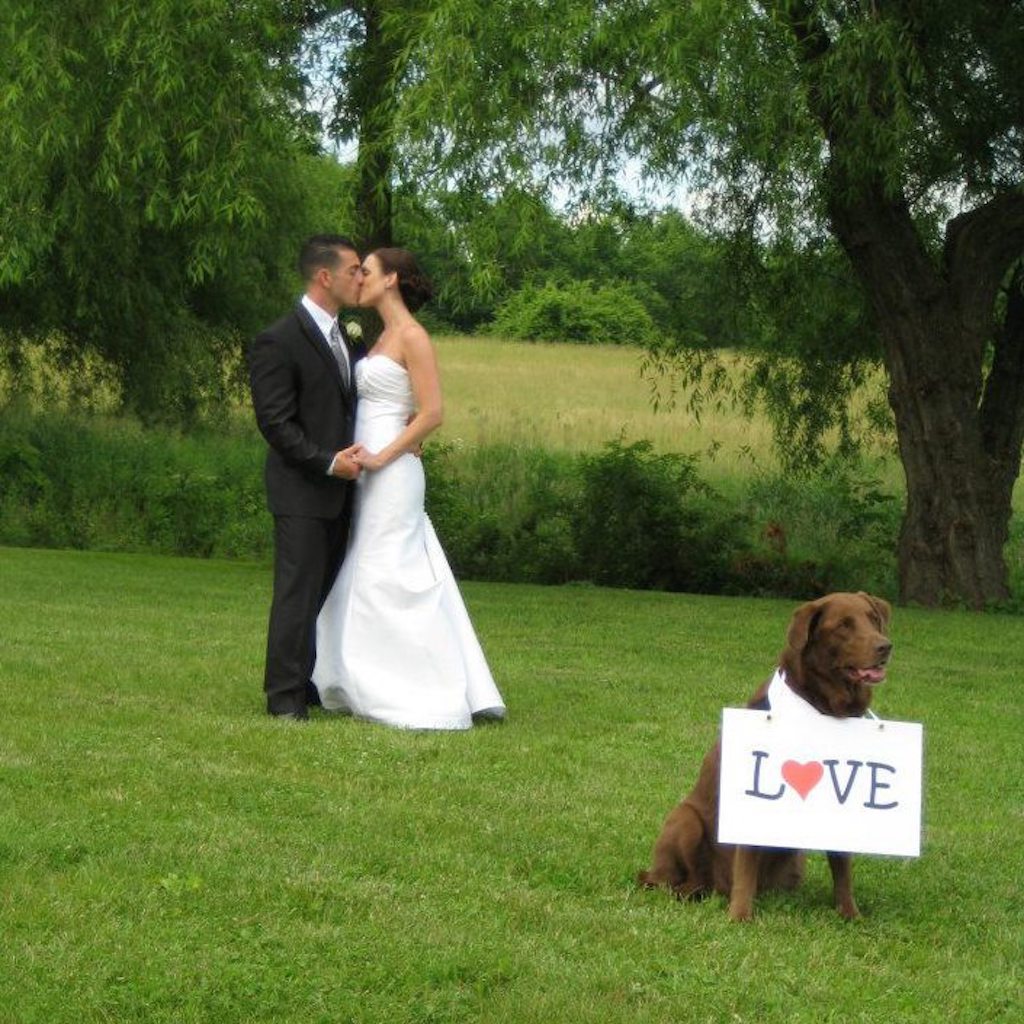 The Heartwarming Story Behind the Groom and Dog Best Man Viral Photo