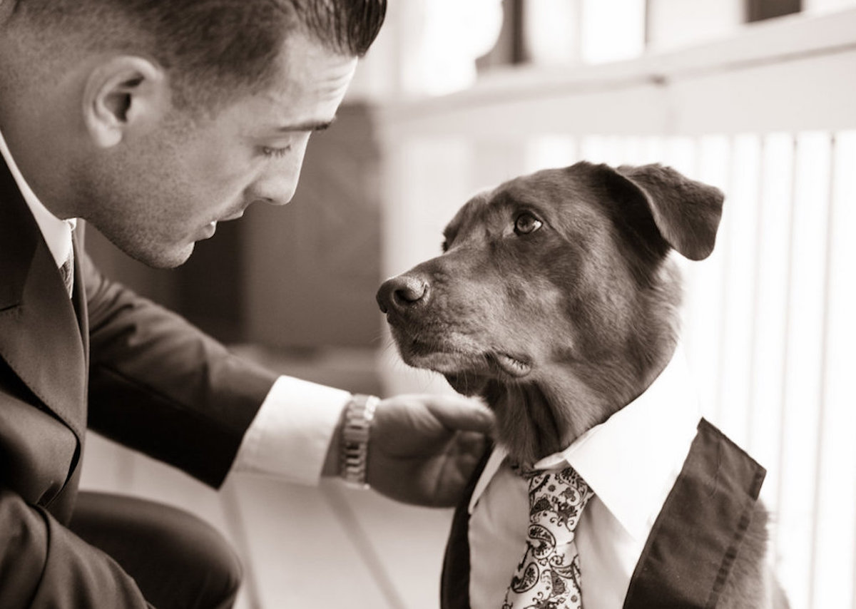 Dog 'Writes' Adorable Letter to Boys Who Want to Befriend Her, Goes Viral