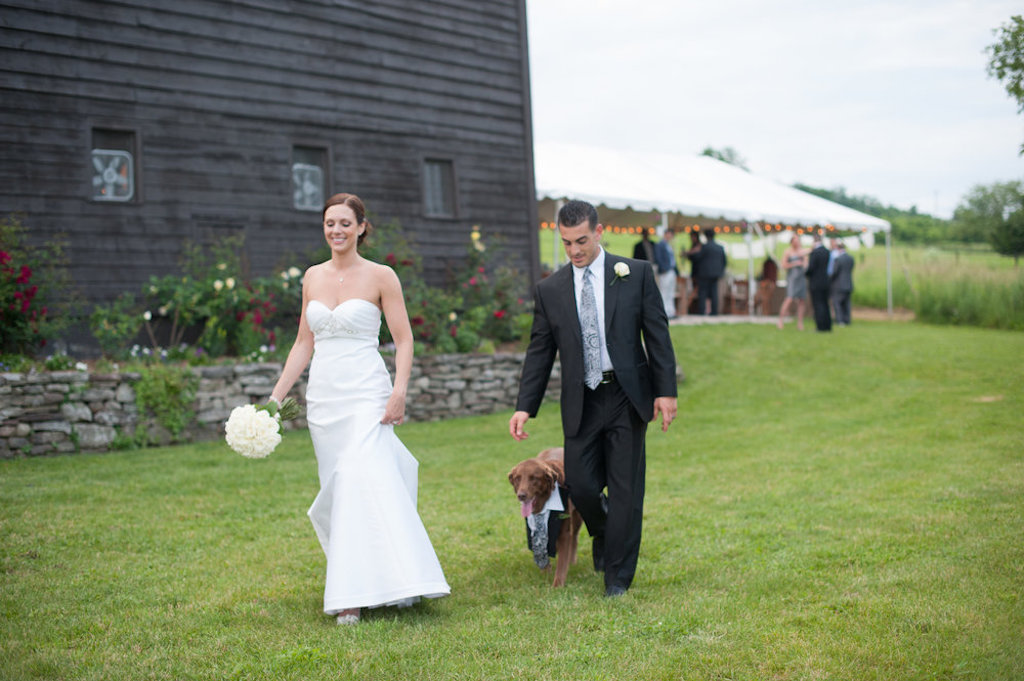 The Heartwarming Story Behind the Groom and Dog Best Man Viral Photo