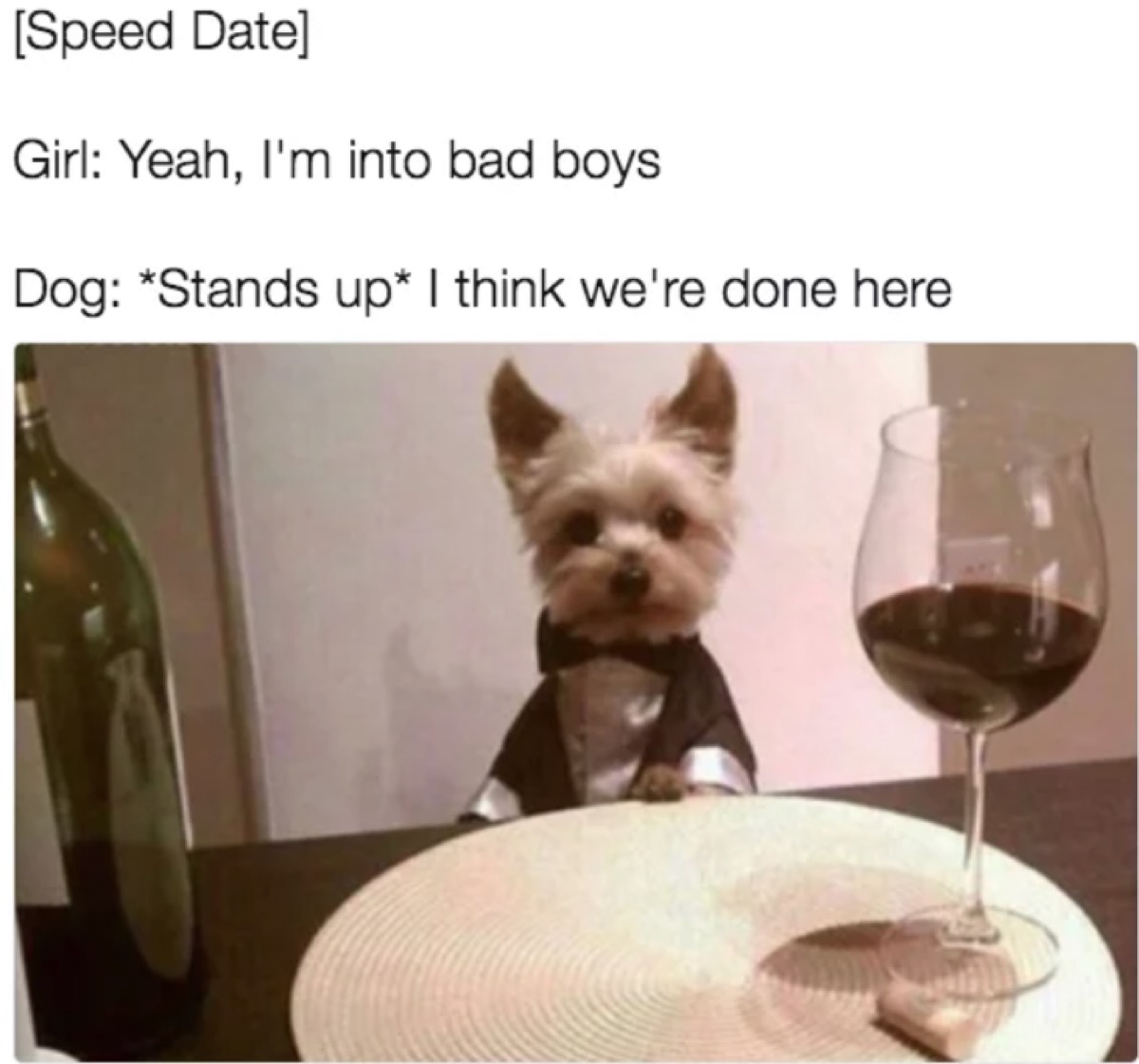 30 Funny Dog Memes to Make You Howl With Laughter - Cute Dog Memes