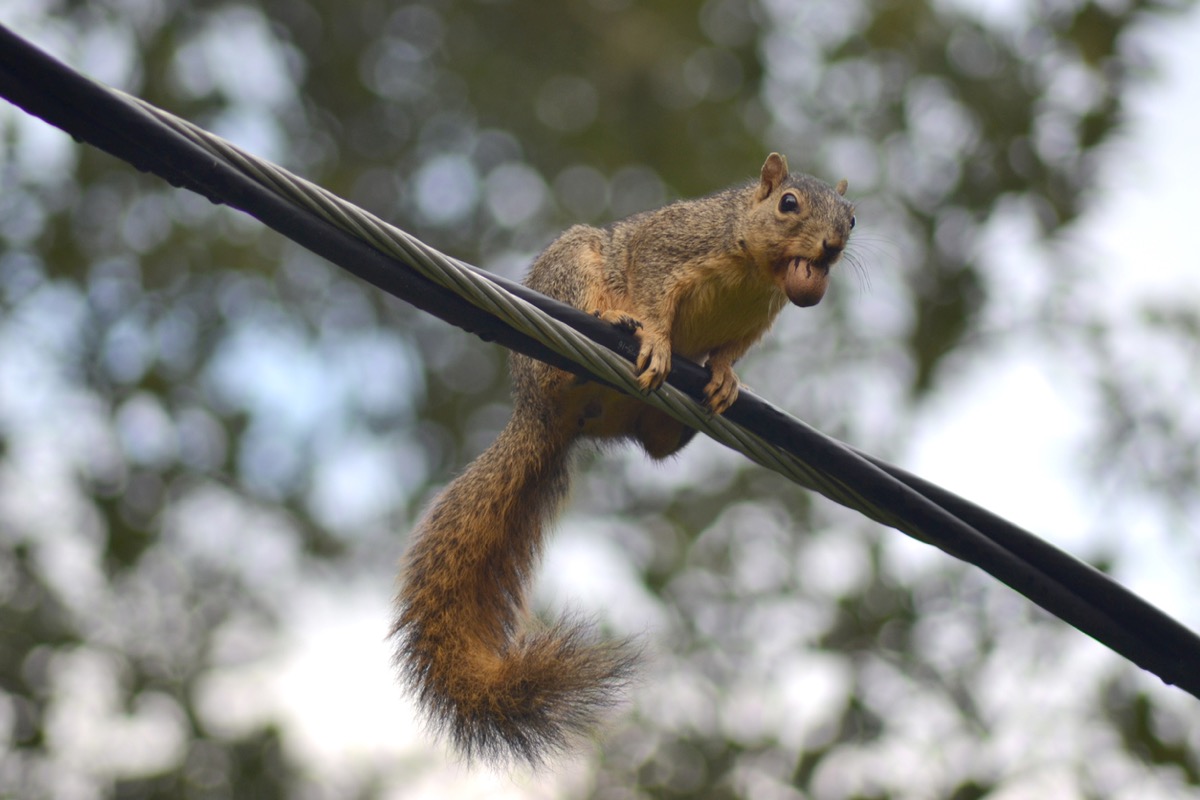 50 Absurd Facts That Will Make You Question Everything — Best Life