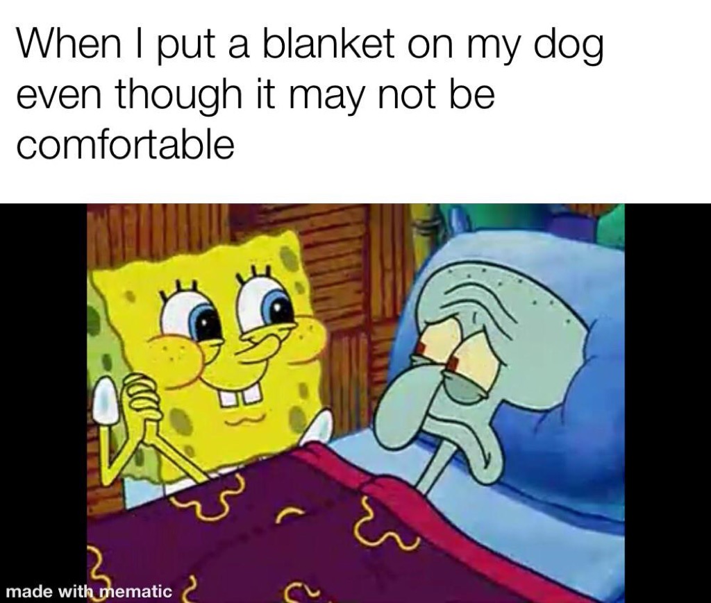 40 Funny Spongebob Memes - Dank Spongebob Memes