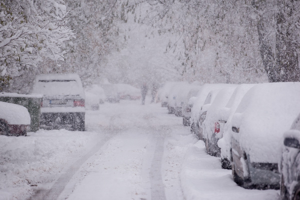 30 Uplifting Winter Facts That Will Warm Your Heart — Best Life