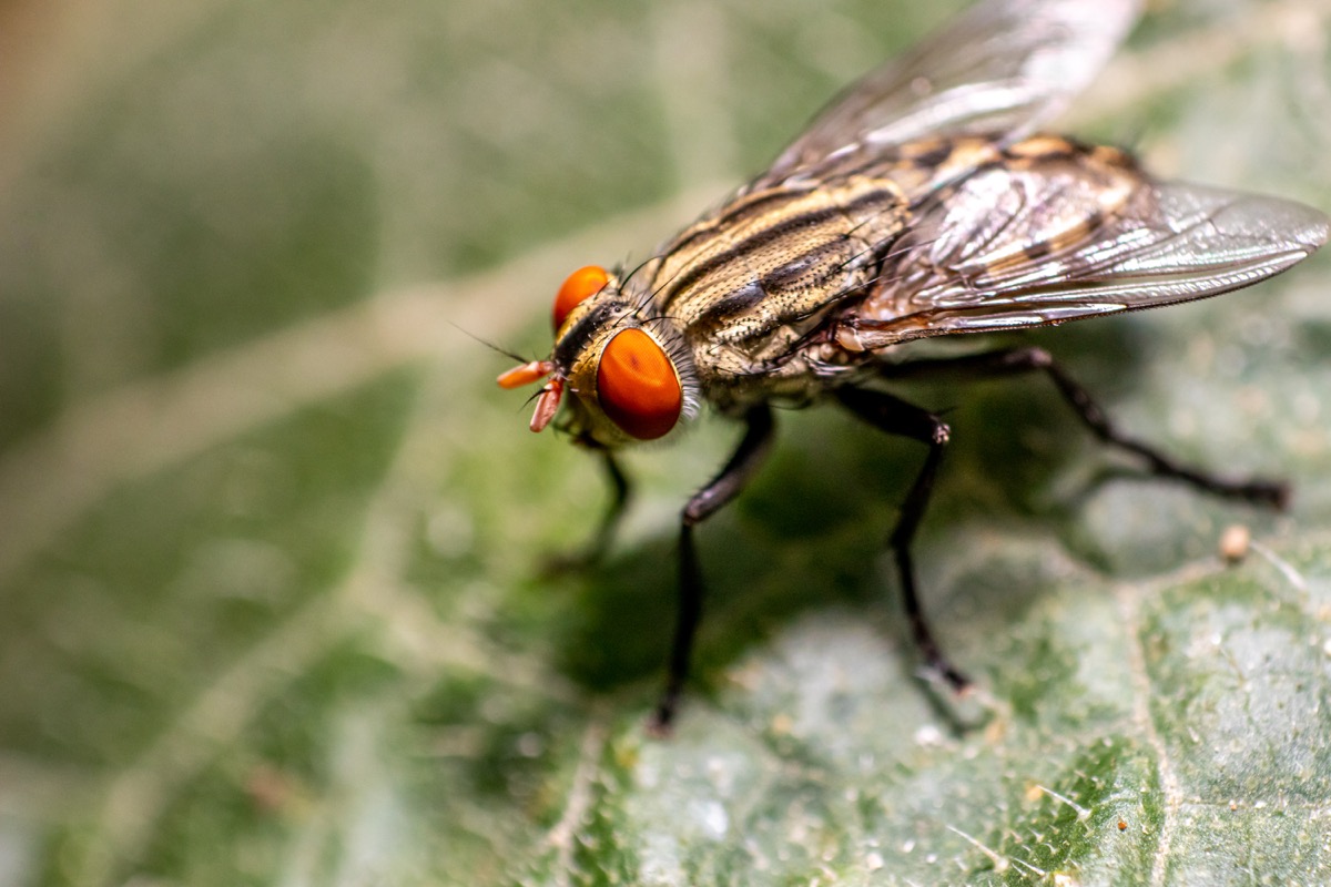 75 Animal Facts That Will Change the Way You View the Animal Kingdom