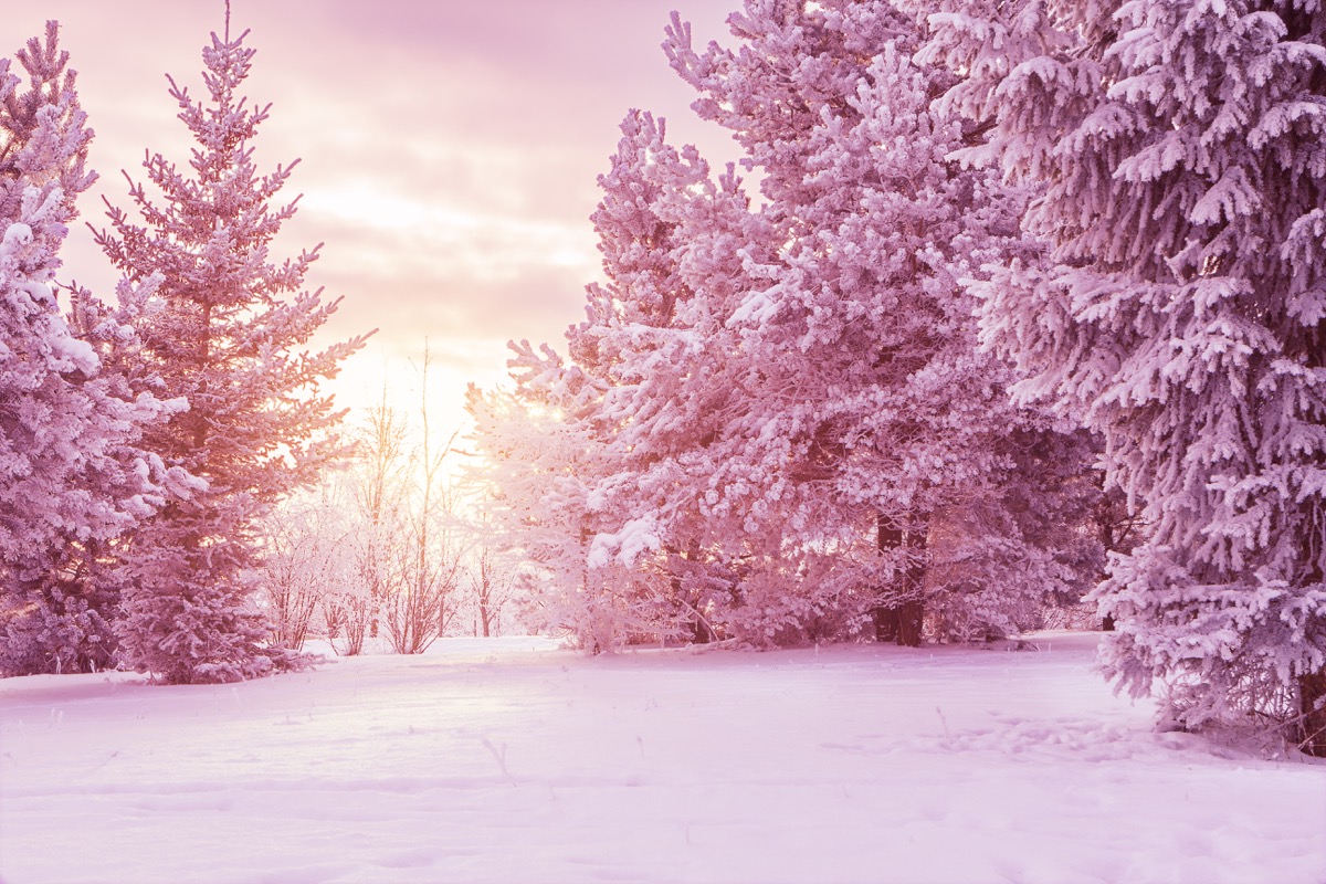 30 Uplifting Winter Facts That Will Warm Your Heart — Best Life