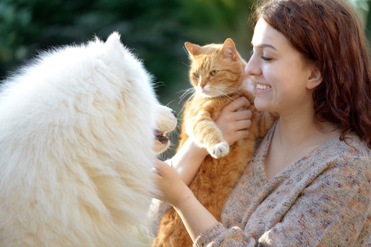 27 Cute Pictures of Cats and Dogs Living Together in Perfect Harmony