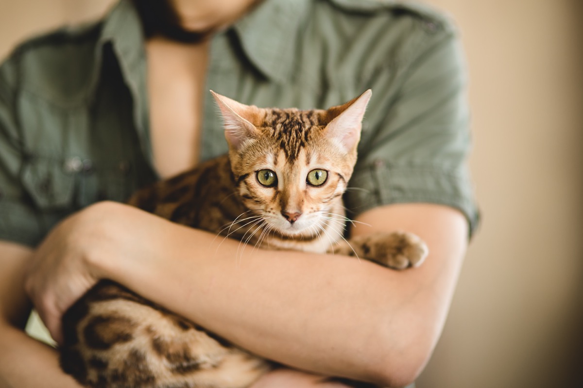 This Is the Most Popular Cat Name in Every State — Best Life