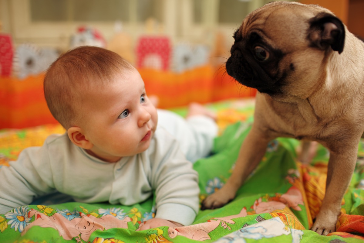 27 Precious Photos of Dogs and Babies That Will Melt Your Heart