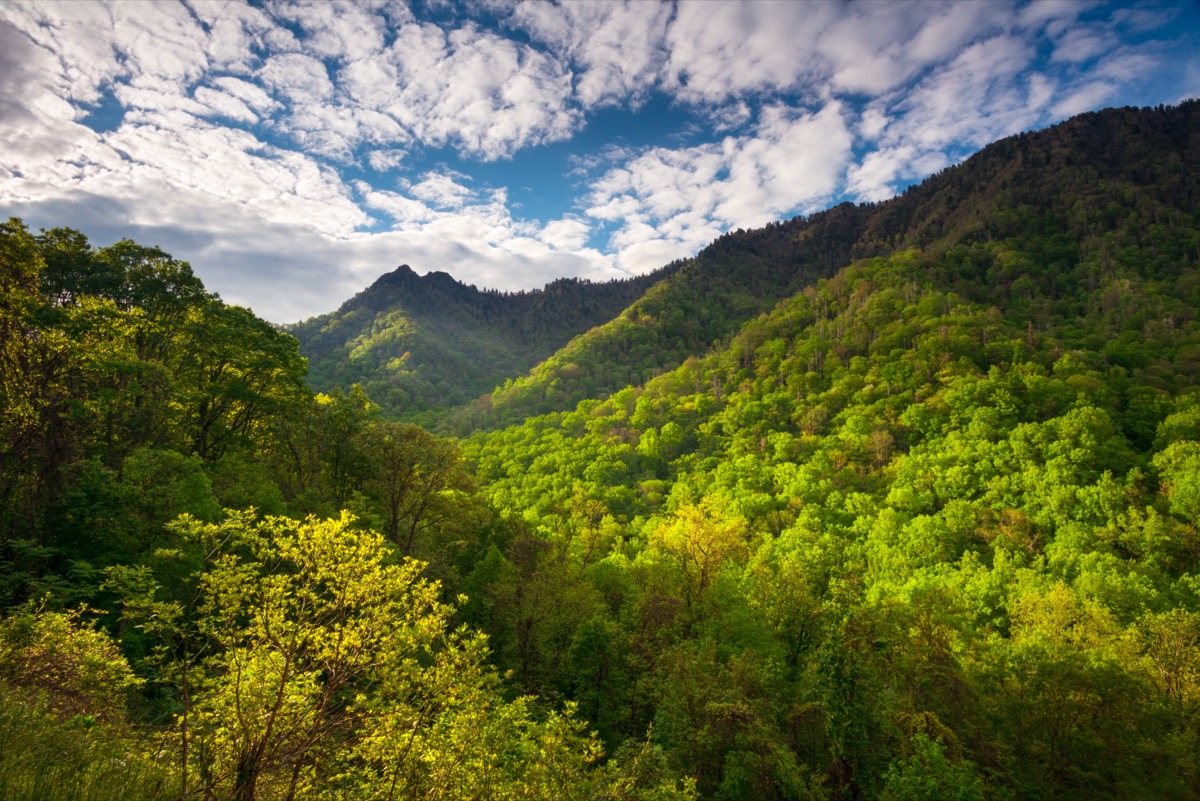 12 Iconic U.S. Landscapes Where You Can Take Amazing Photos
