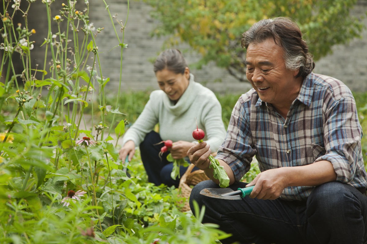 50 Important Habits Linked to a Longer Life — Best Life