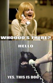The 50 Funniest Memes Of All Time Best Life Bestlifeonline The 50 Funniest Memes Of All Time Best Life Bestlifeonline