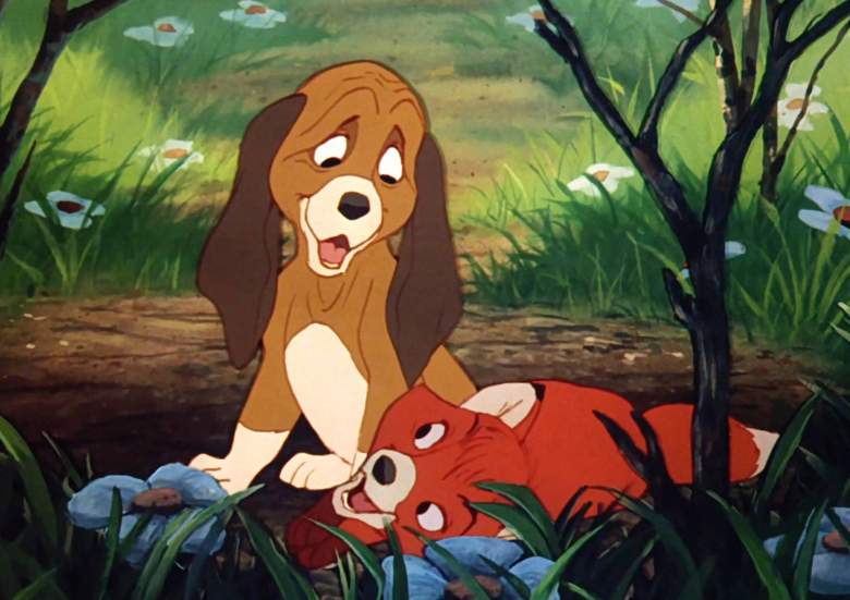 Ranking Every Disney Animated Movie by Rotten Tomatoes Score
