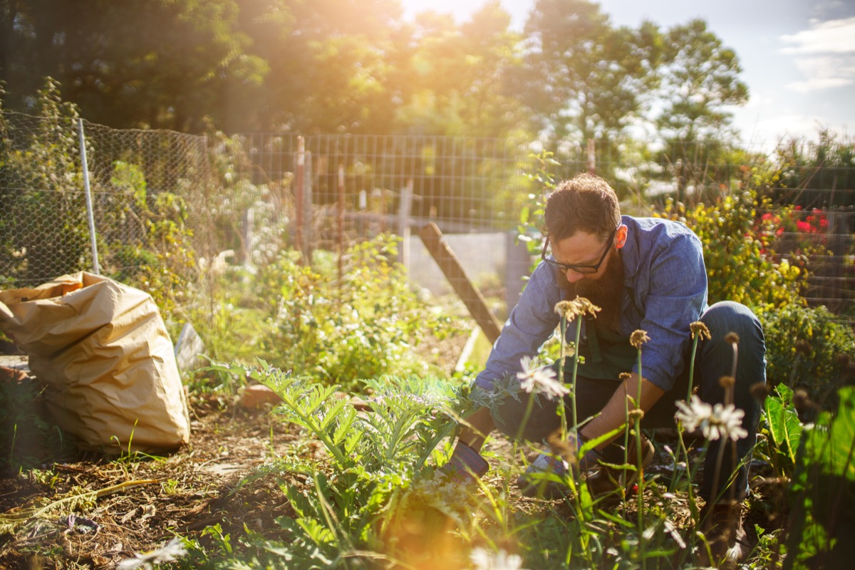 18 Mistakes That Are Destroying Your Garden — Best Life