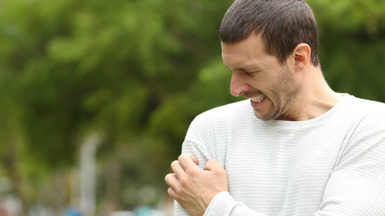 This Is the Most Painful Insect Sting in the World, Scientist Says ...