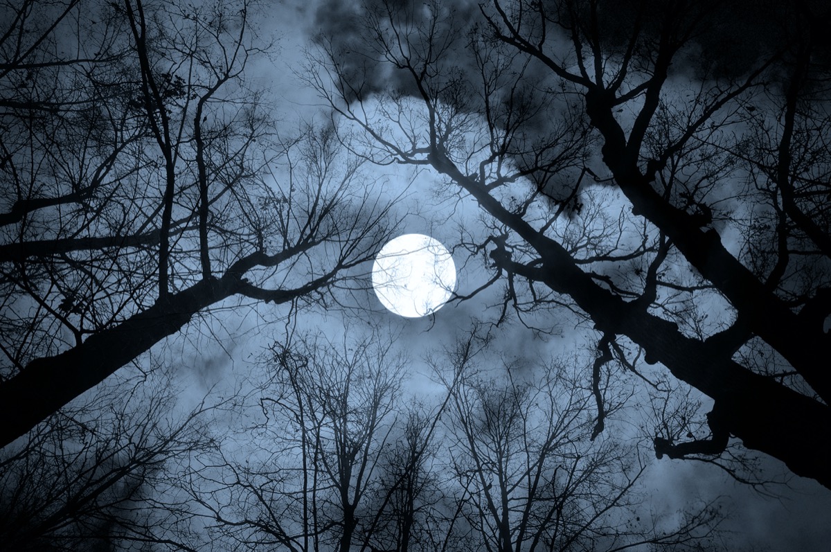 70 Amazing Snapple Bottle Cap Facts and the Science Behind Them