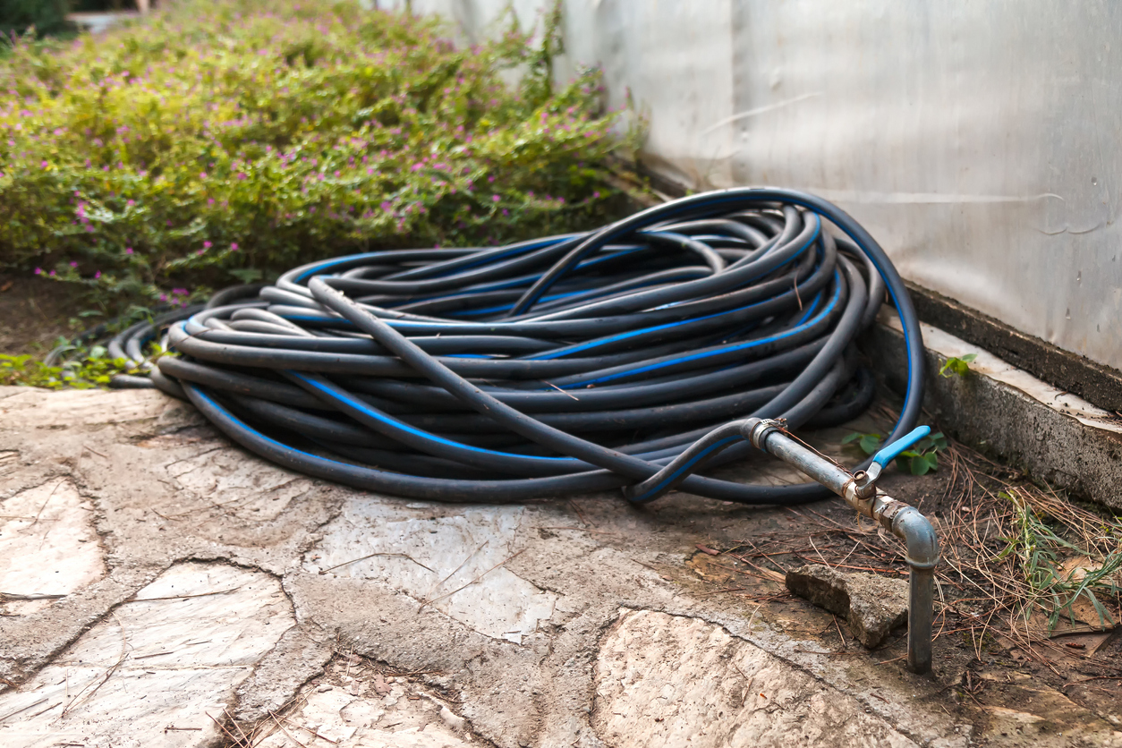 Keeping Hoses in Your Yard Is Attracting Snakes, Experts Warn — Best Life