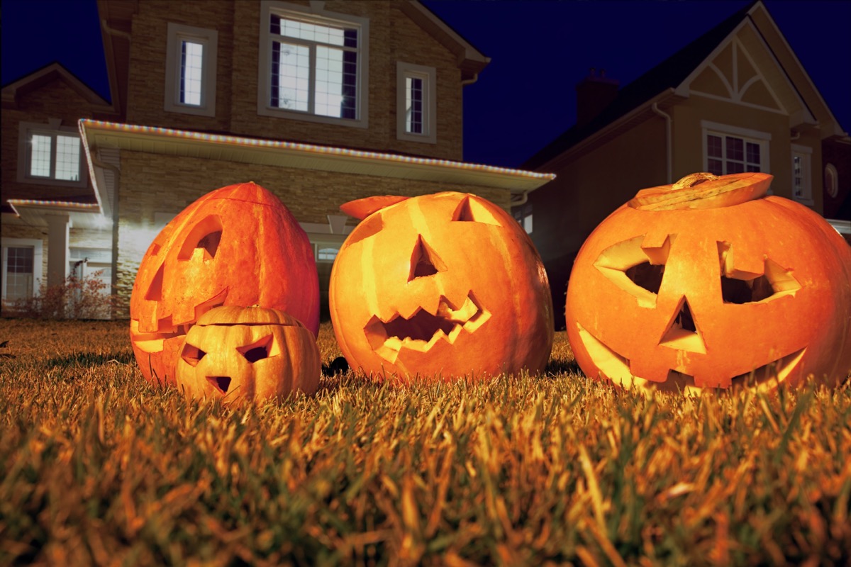 55 Fall Facts To Pump You Up for Pumpkin Spice Season